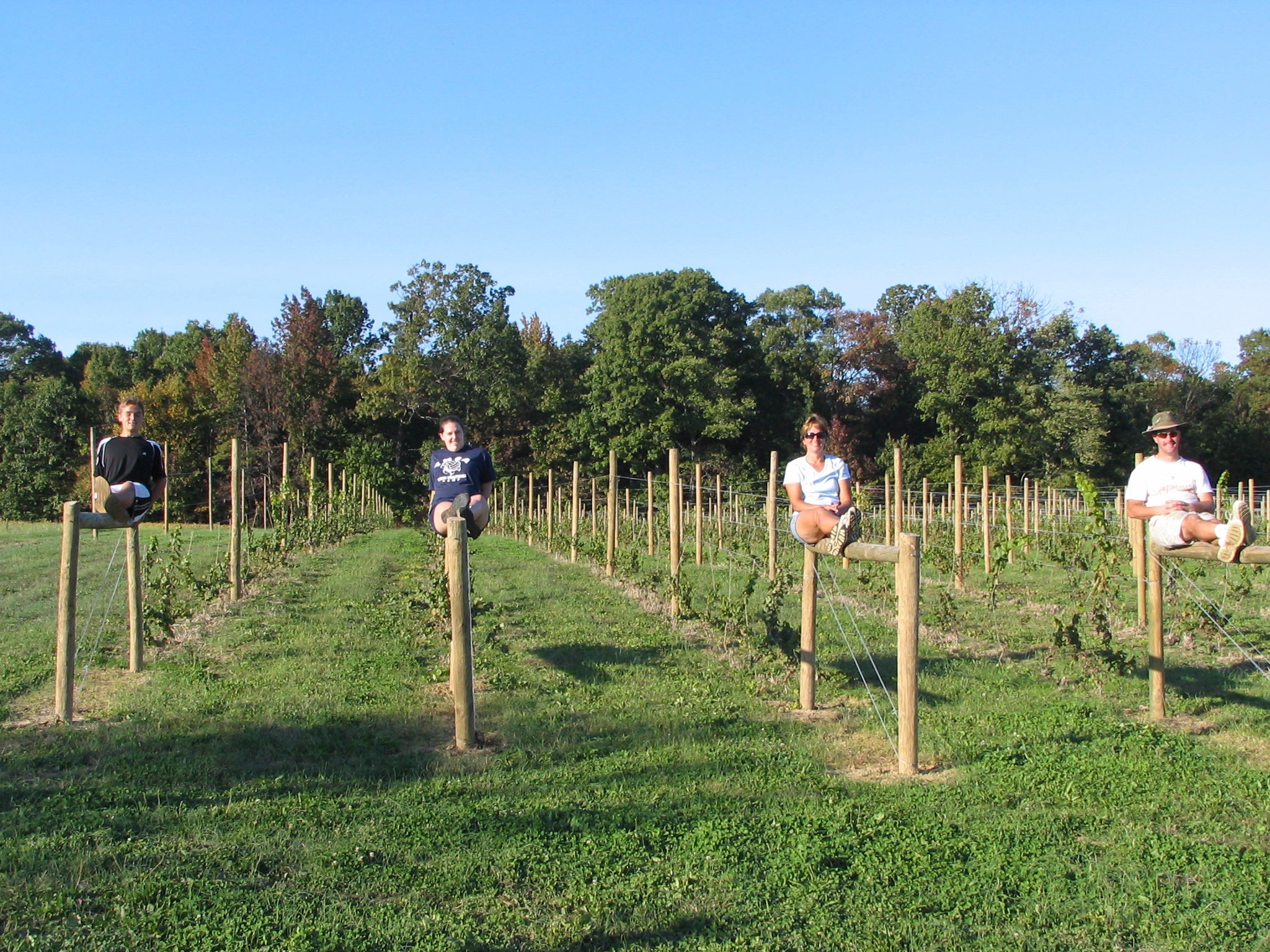 Turkey Point Vineyard